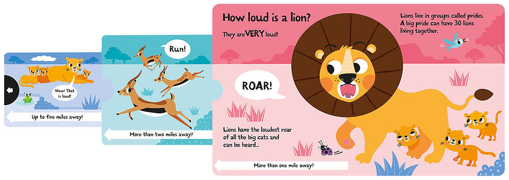 Slide and Seek Book: How Loud Is A Lion? – Urban Essentials Philippines
