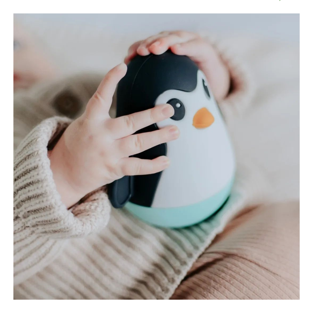 Jellystone Penguin Wobble – Urban Essentials Philippines