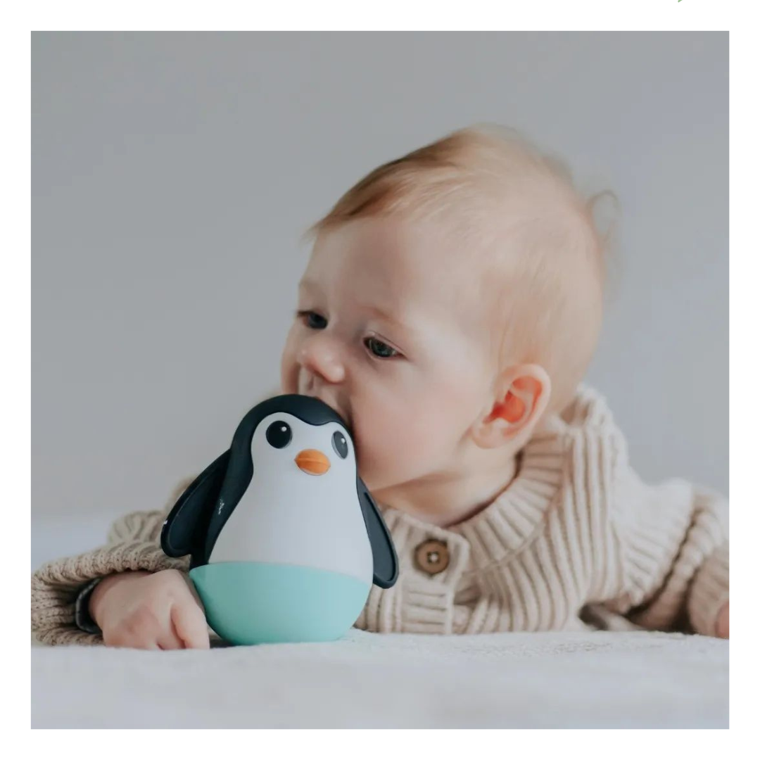 Jellystone Penguin Wobble – Urban Essentials Philippines