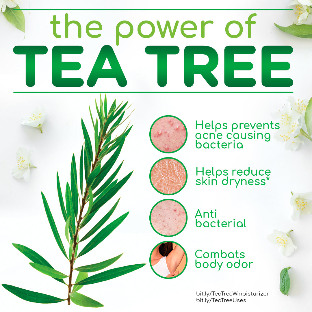 Human Nature Tea Tree Body Acne Gel 50g – Urban Essentials Philippines