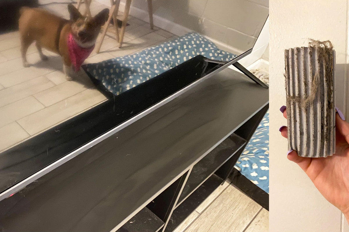 Scrub Daddy Damp Duster – Urban Essentials Philippines